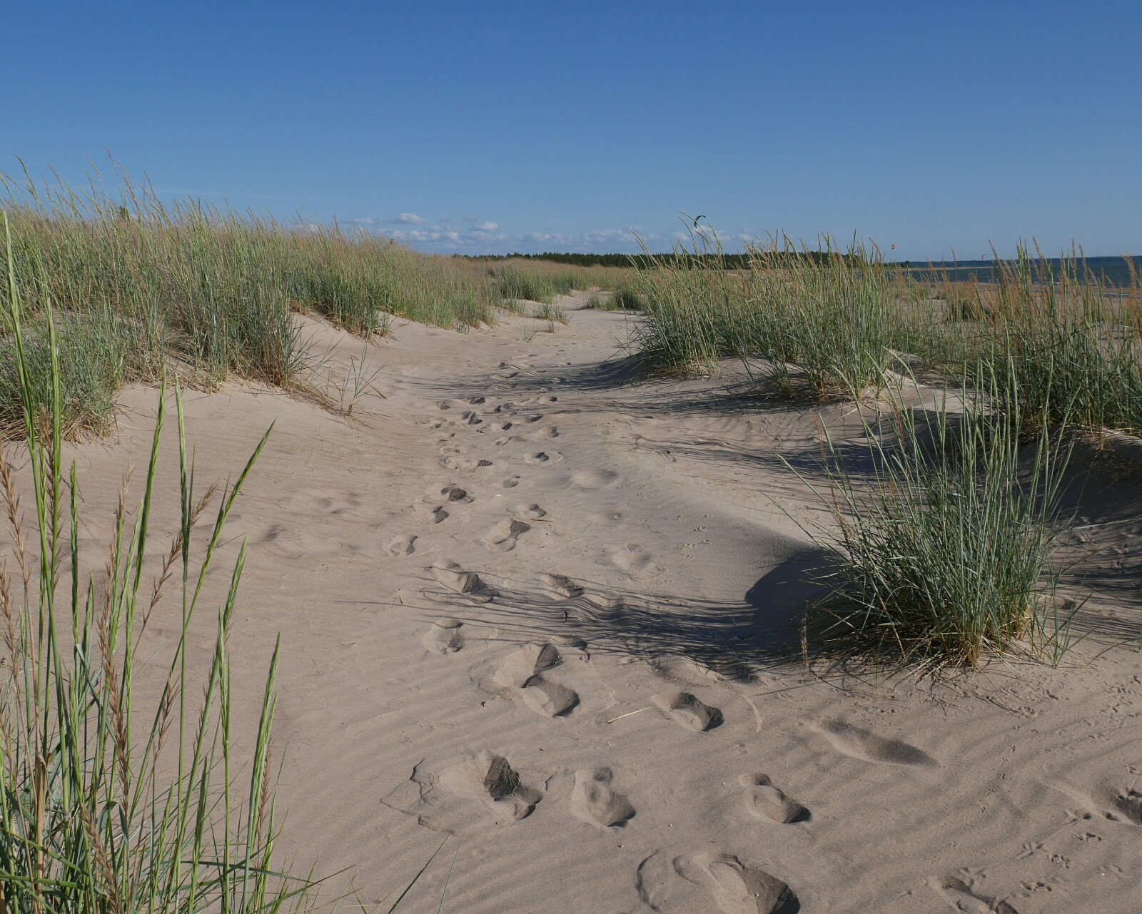 Pidetään lapset turvassa rannalla! | Huono Äiti